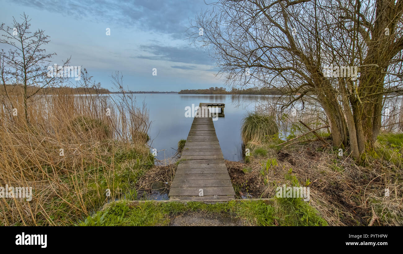 Early april spring landscape with emerging fresh green plants and brown ...