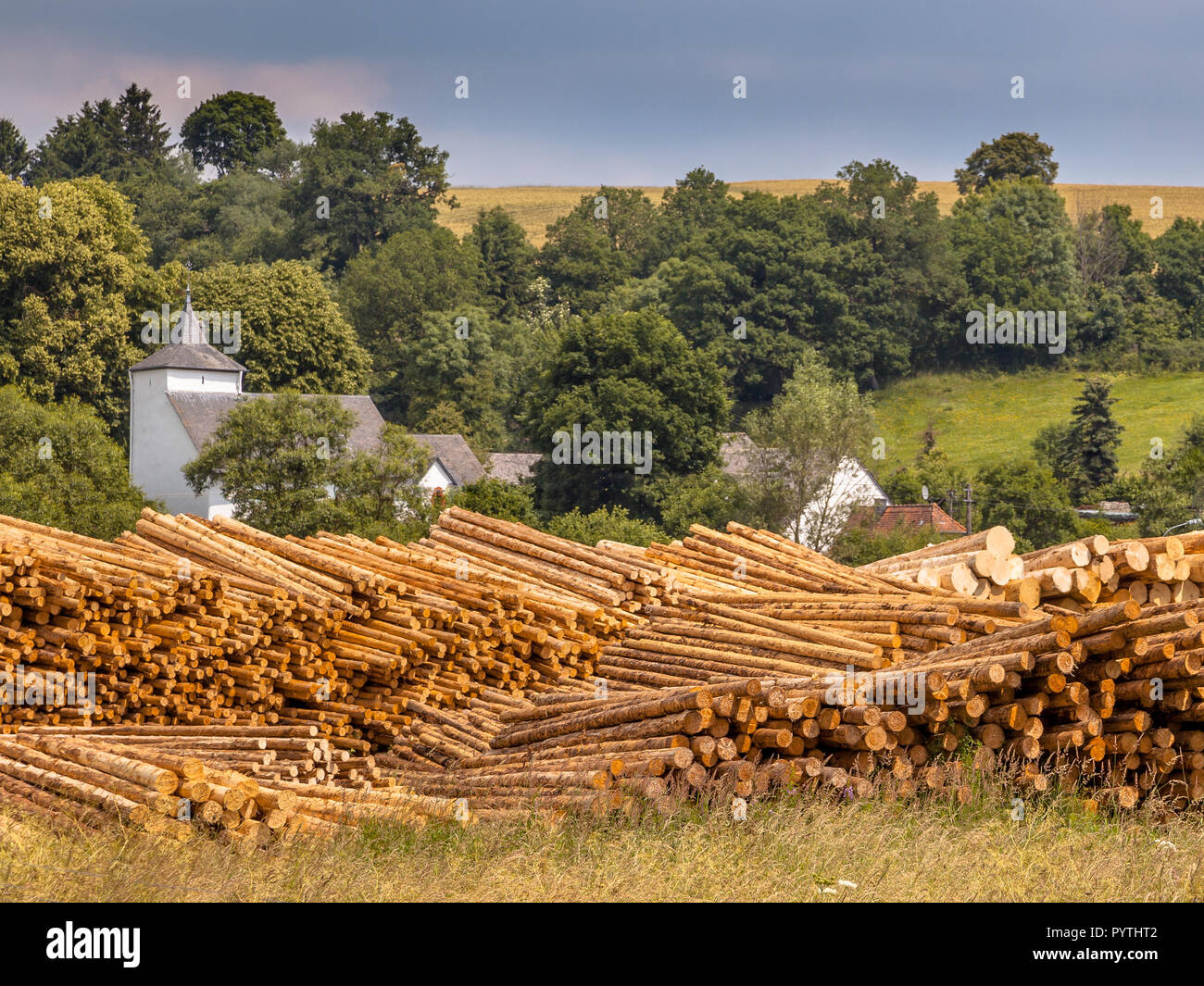 Stacks of Tree Logs at a Lumber Yard in a Rural village Setting in the ...