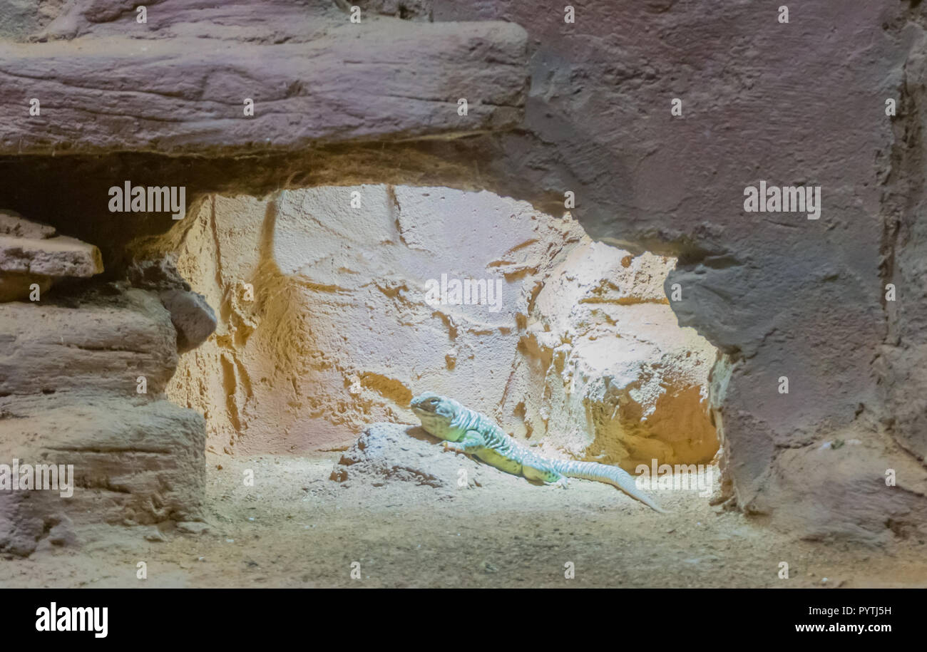 Dot cave hi-res stock photography and images - Alamy