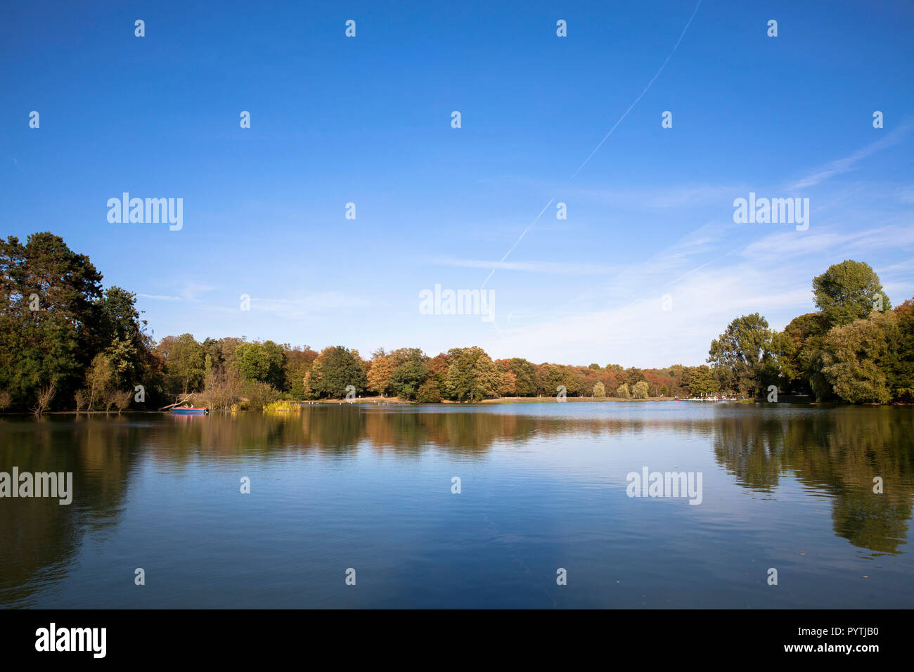 the pond Kalscheurer Weiher in the town forest, Cologne, Germany. der ...