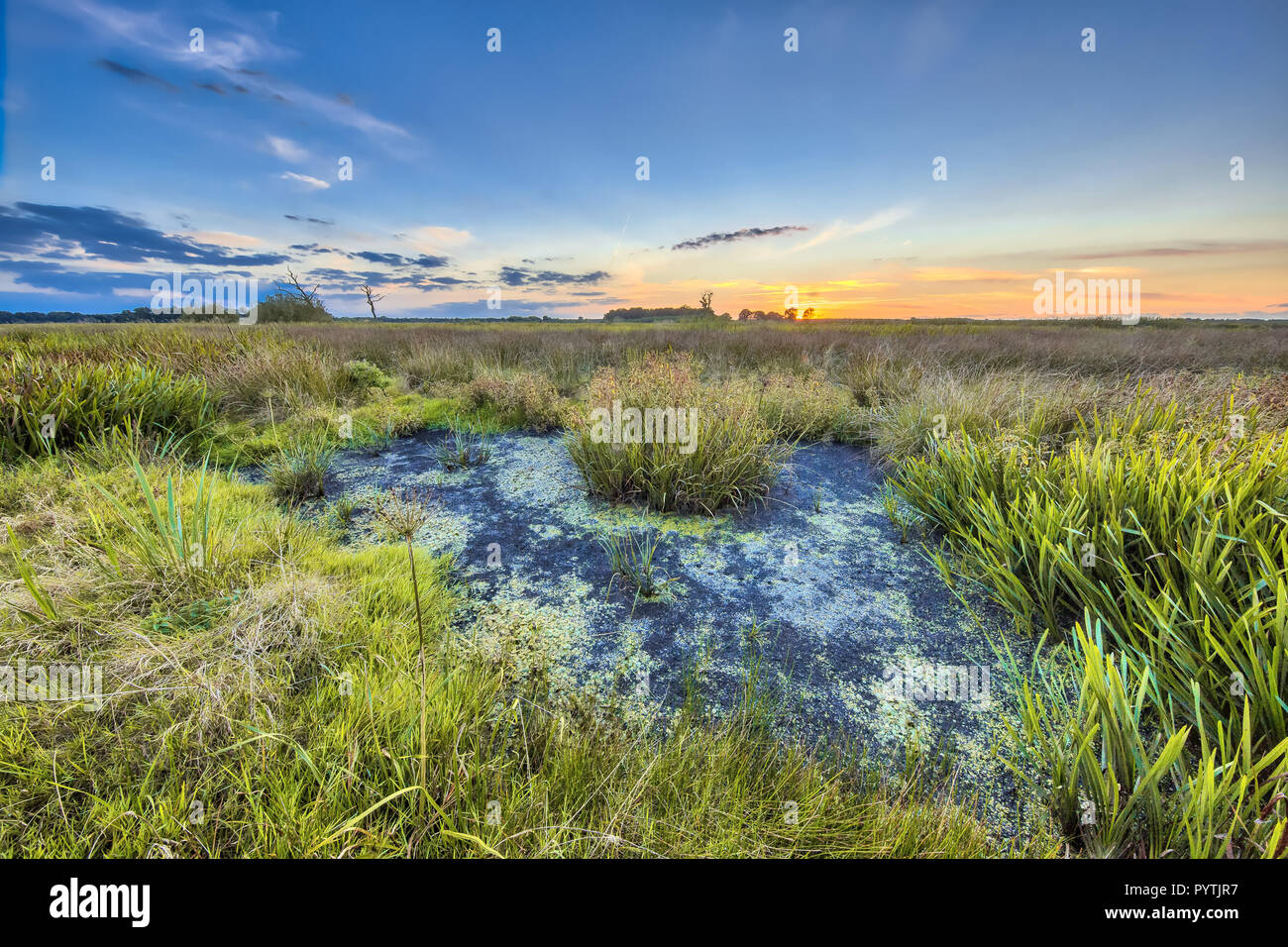 Marshand hi-res stock photography and images - Alamy