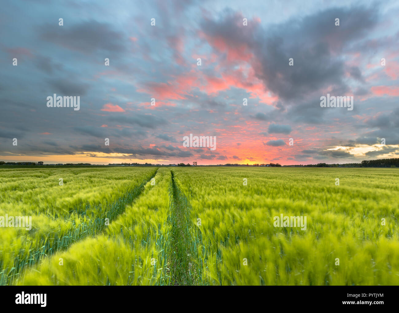 Flat countryside hi-res stock photography and images - Alamy