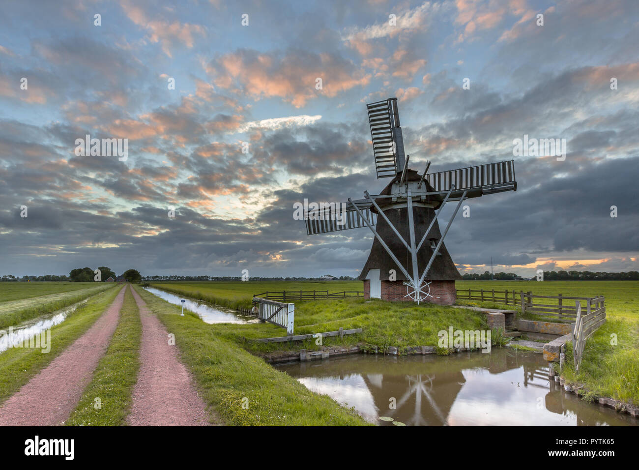 Historic wooden windmill along a rural road in polder landscape in the ...