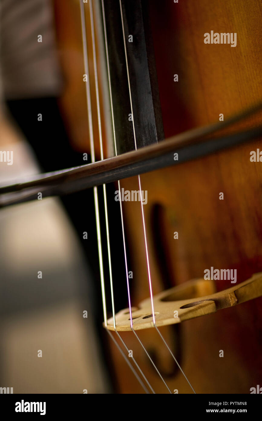 Close up playing double bass hi-res stock photography and images - Alamy