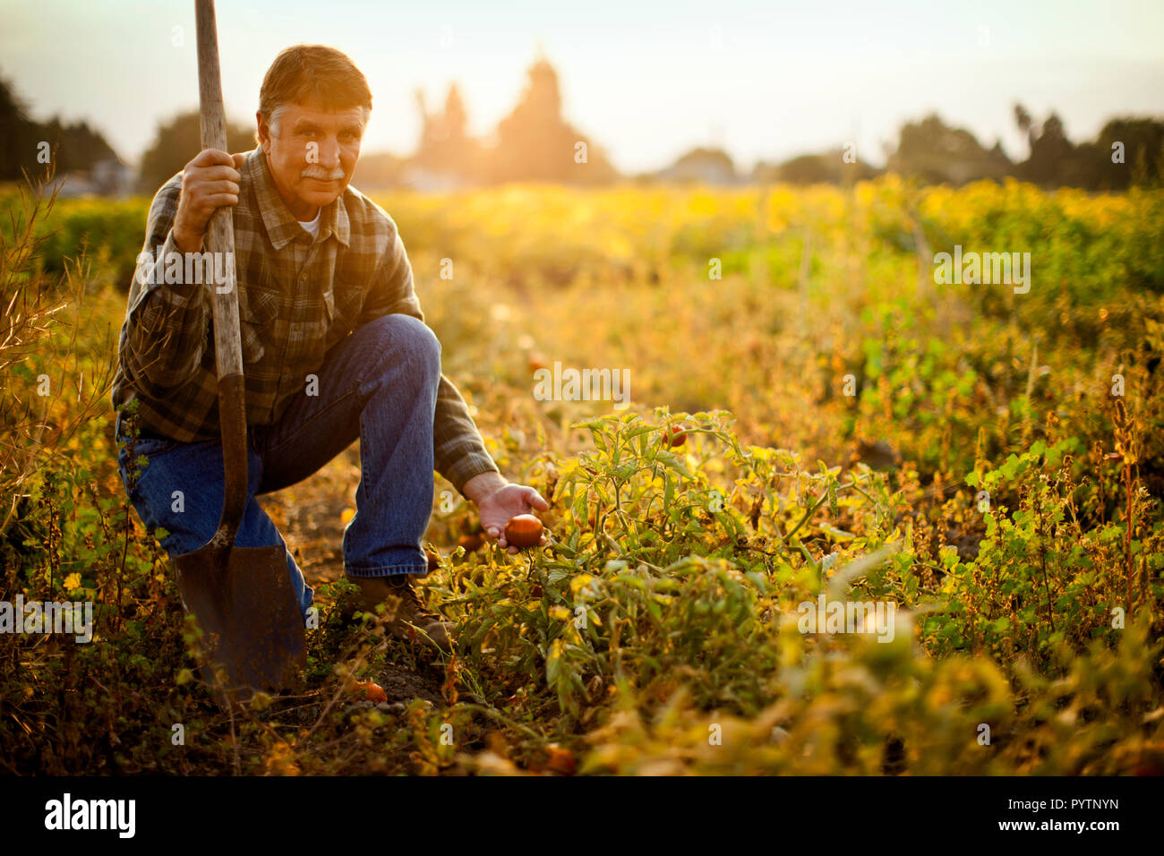 Portrait farmer squatting in field hi-res stock photography and images ...