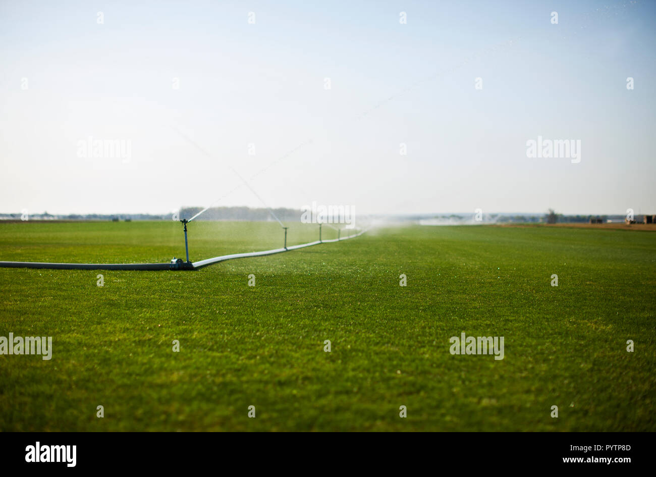 Irrigation on an expansive field Stock Photo - Alamy