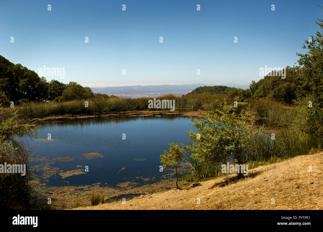Reflective images hi-res stock photography and images - Alamy