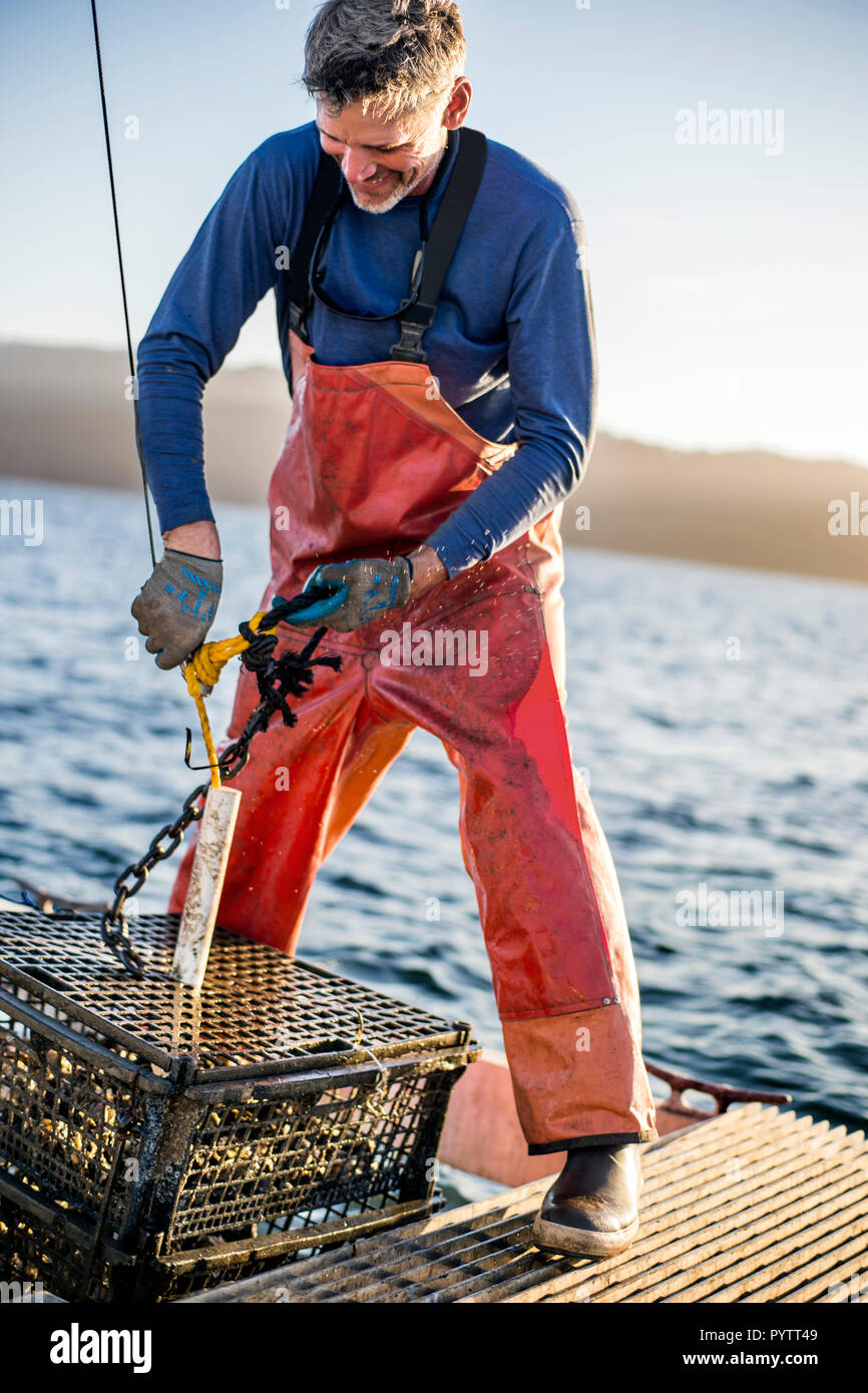Mid adult man unloading shellfish pots Stock Photo - Alamy