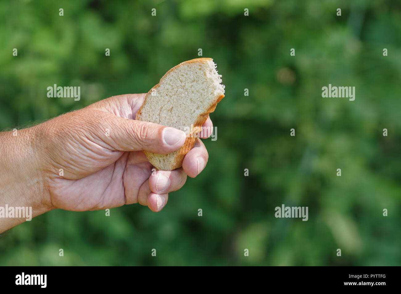 Man's hand taking slice of white bread against green natural background ...