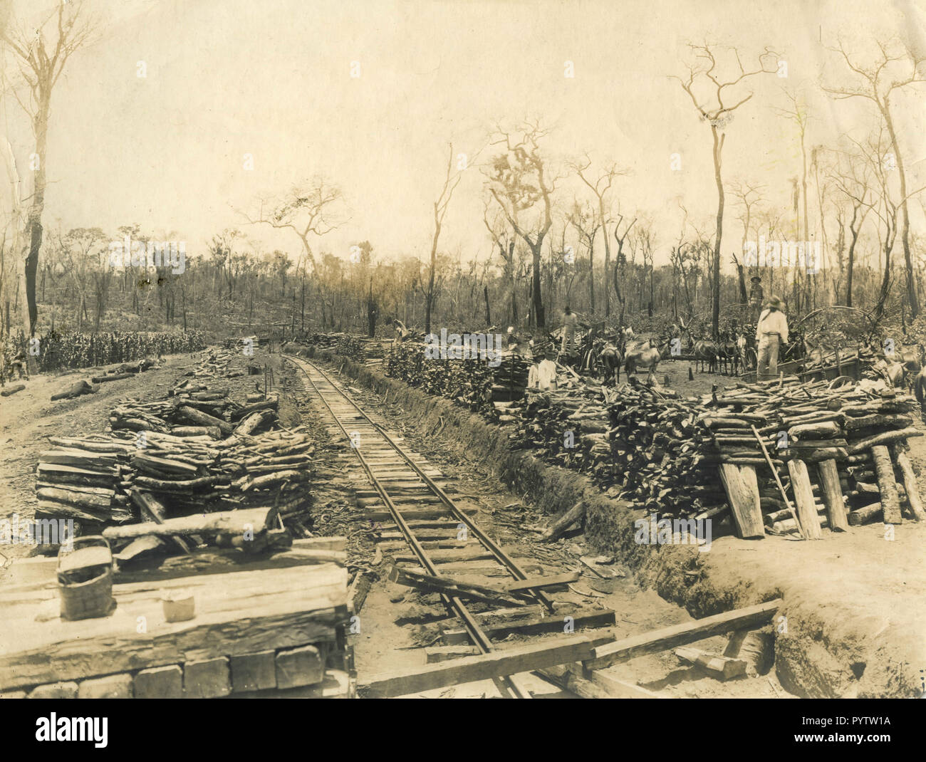 Wood production train station, Fazenda Cambuhy, Brazil 1920s Stock ...