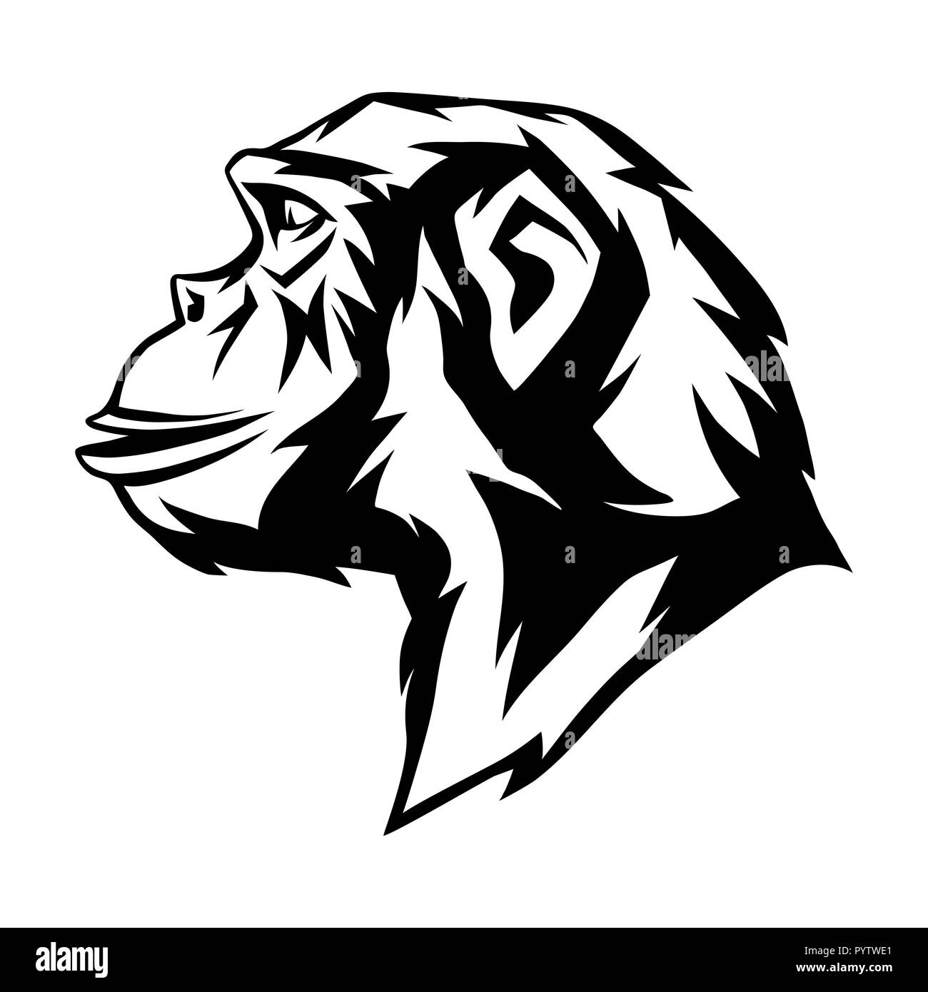 Chimpanzee head hi-res stock photography and images - Alamy