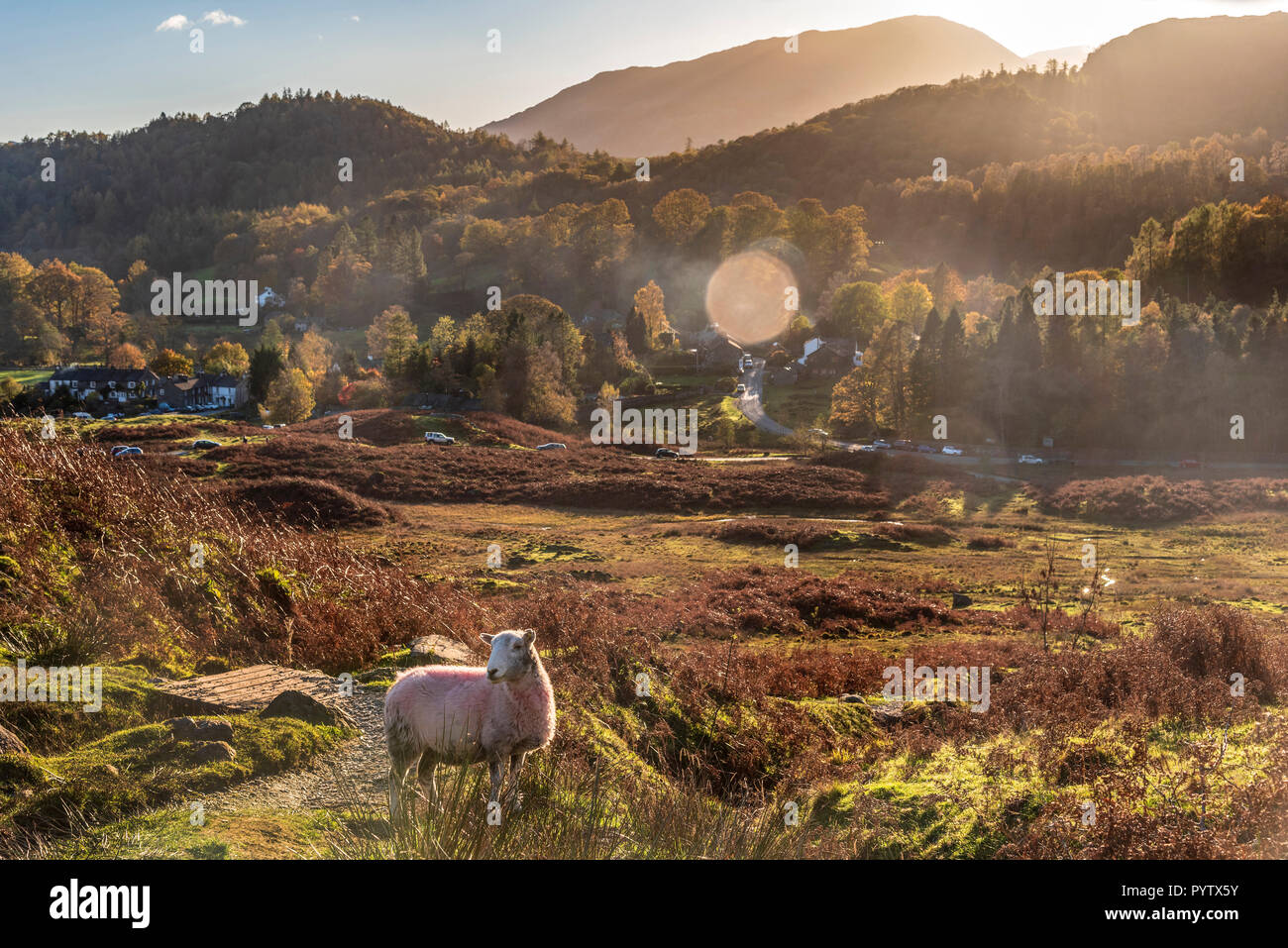 Elterwater village autumn hi-res stock photography and images - Alamy