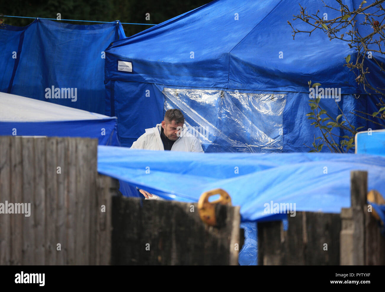 Police forensics tents in a back garden on Shipton Road in Sutton ...