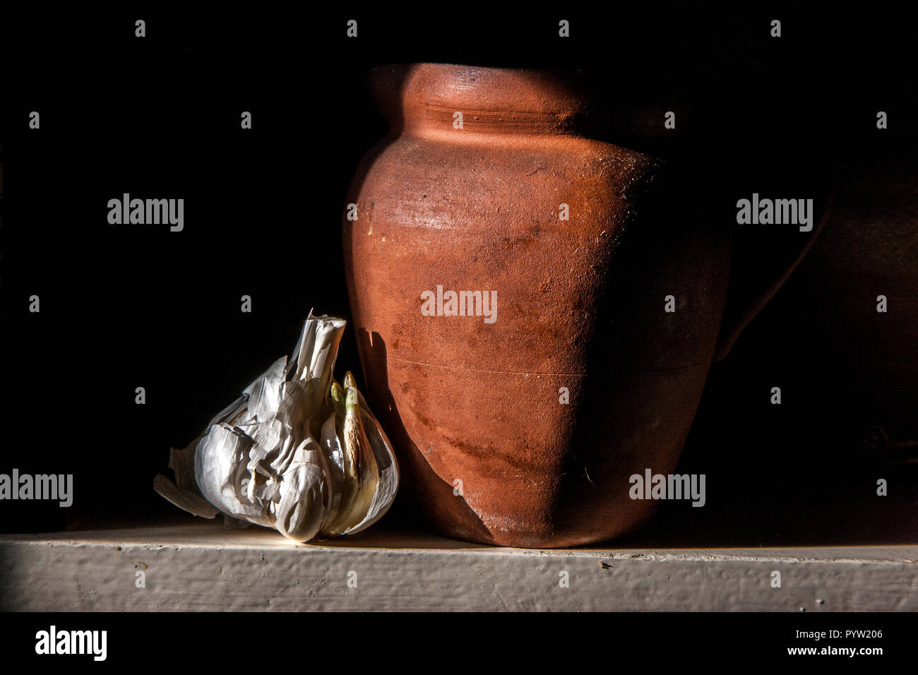 Garlic in containers hi-res stock photography and images - Alamy