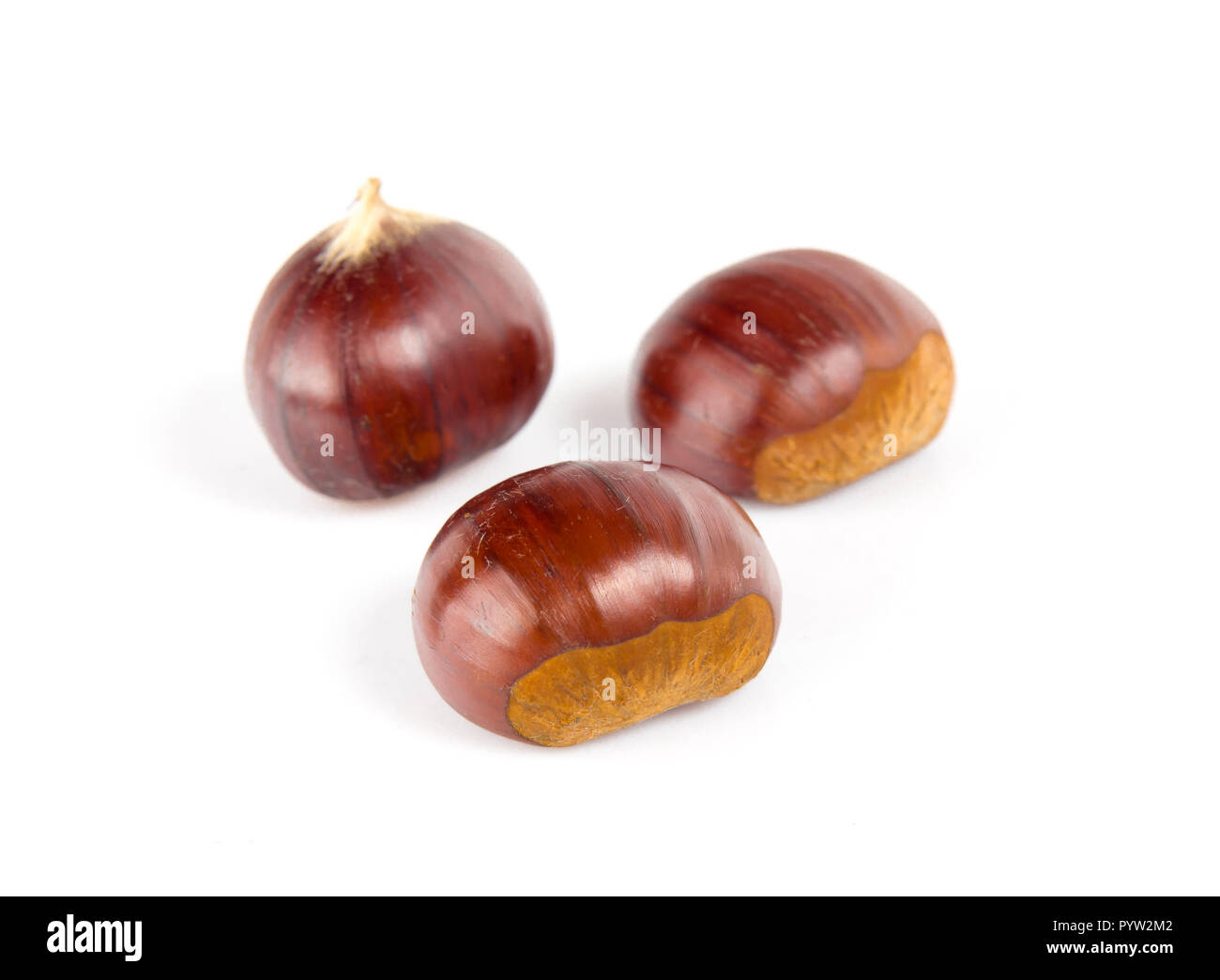 Fresh chestnuts with peeled roasted chestnut isolated on white ...