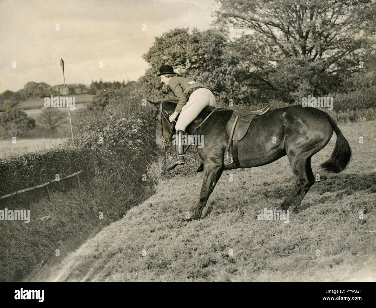 British horse rider Janet Nielson during a refused jump, UK 1937 Stock ...