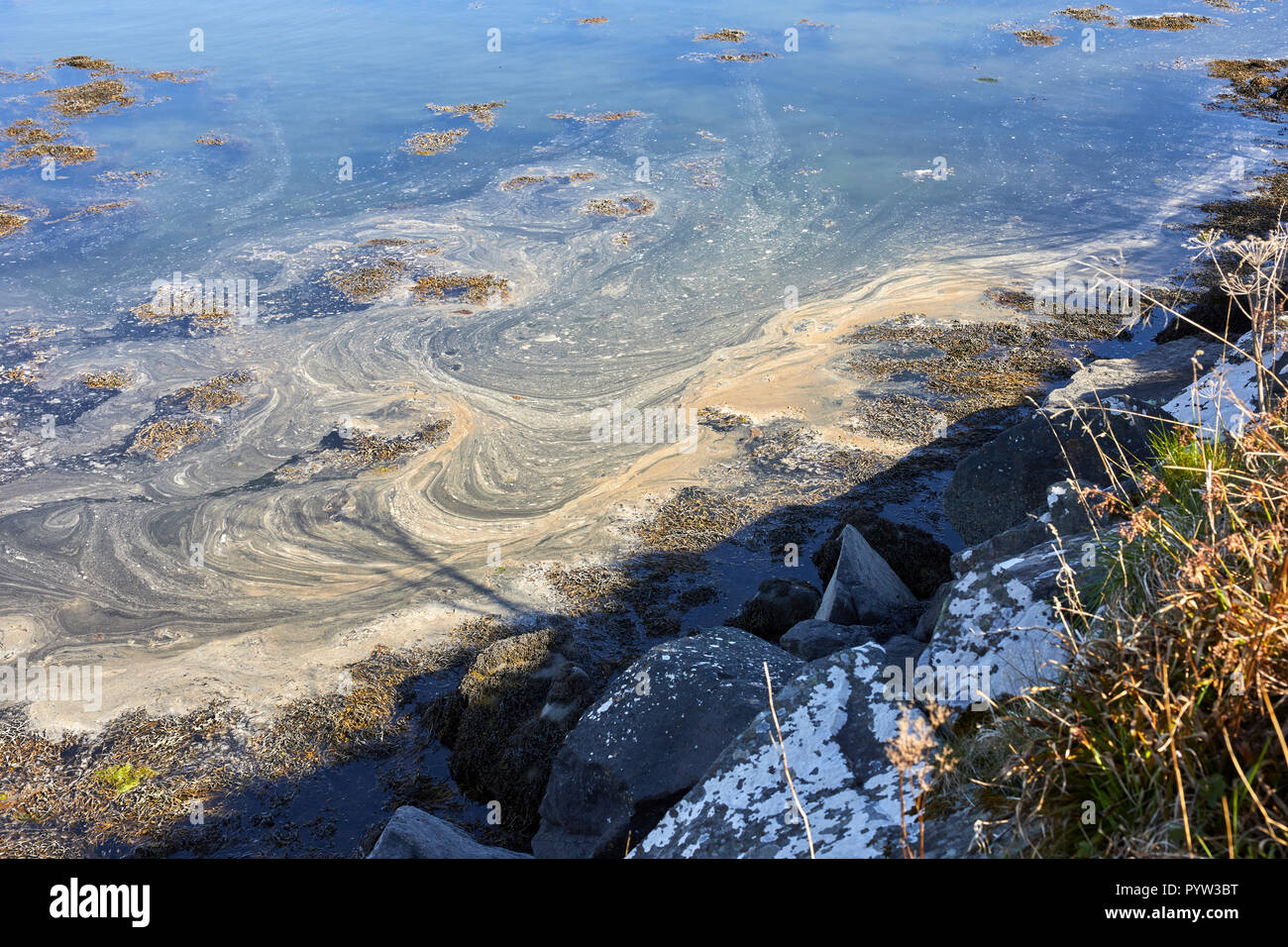 Scum floating on loch surface in the marina at Craobh Haven Stock Photo ...