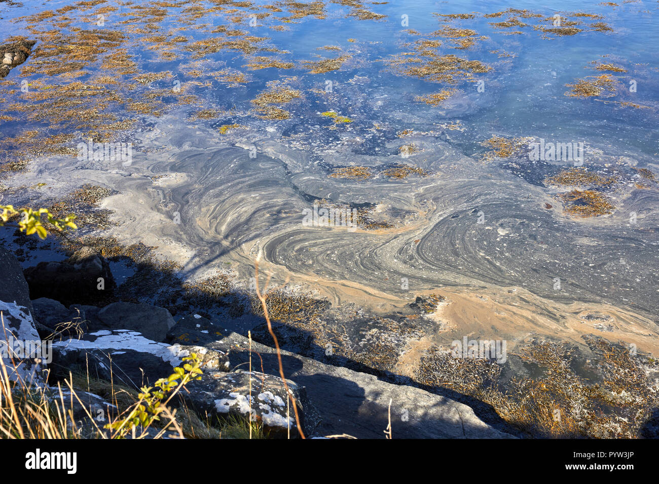 Scum Stock Photos & Scum Stock Images - Alamy