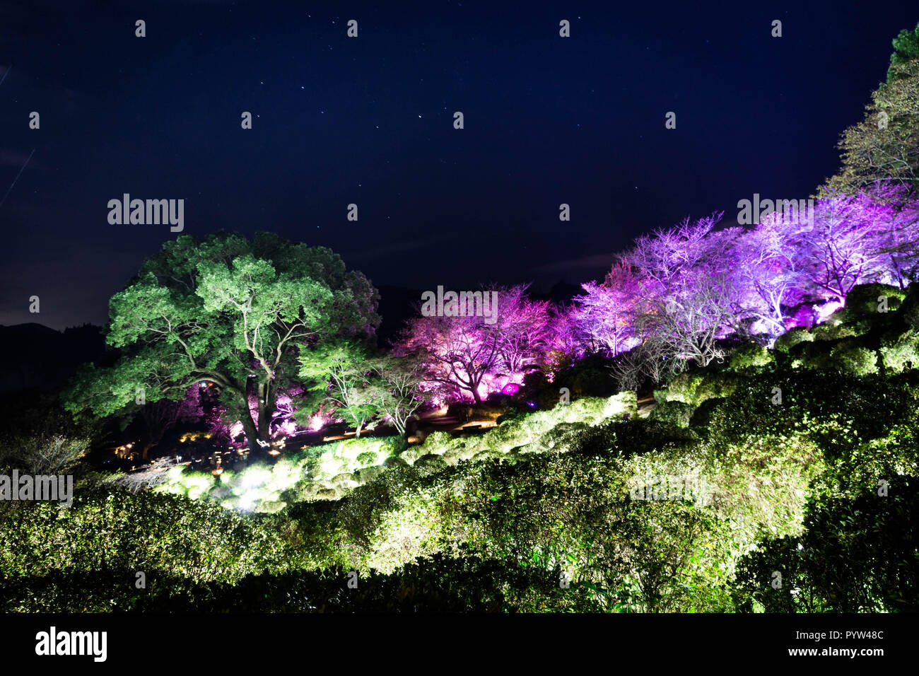 Trees and plants night lighting at Mifuneyama Rakuen Garden Park in ...