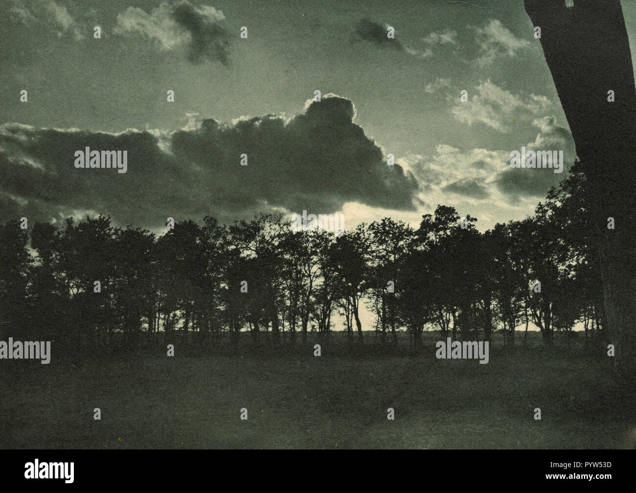 Coltano hi-res stock photography and images - Alamy