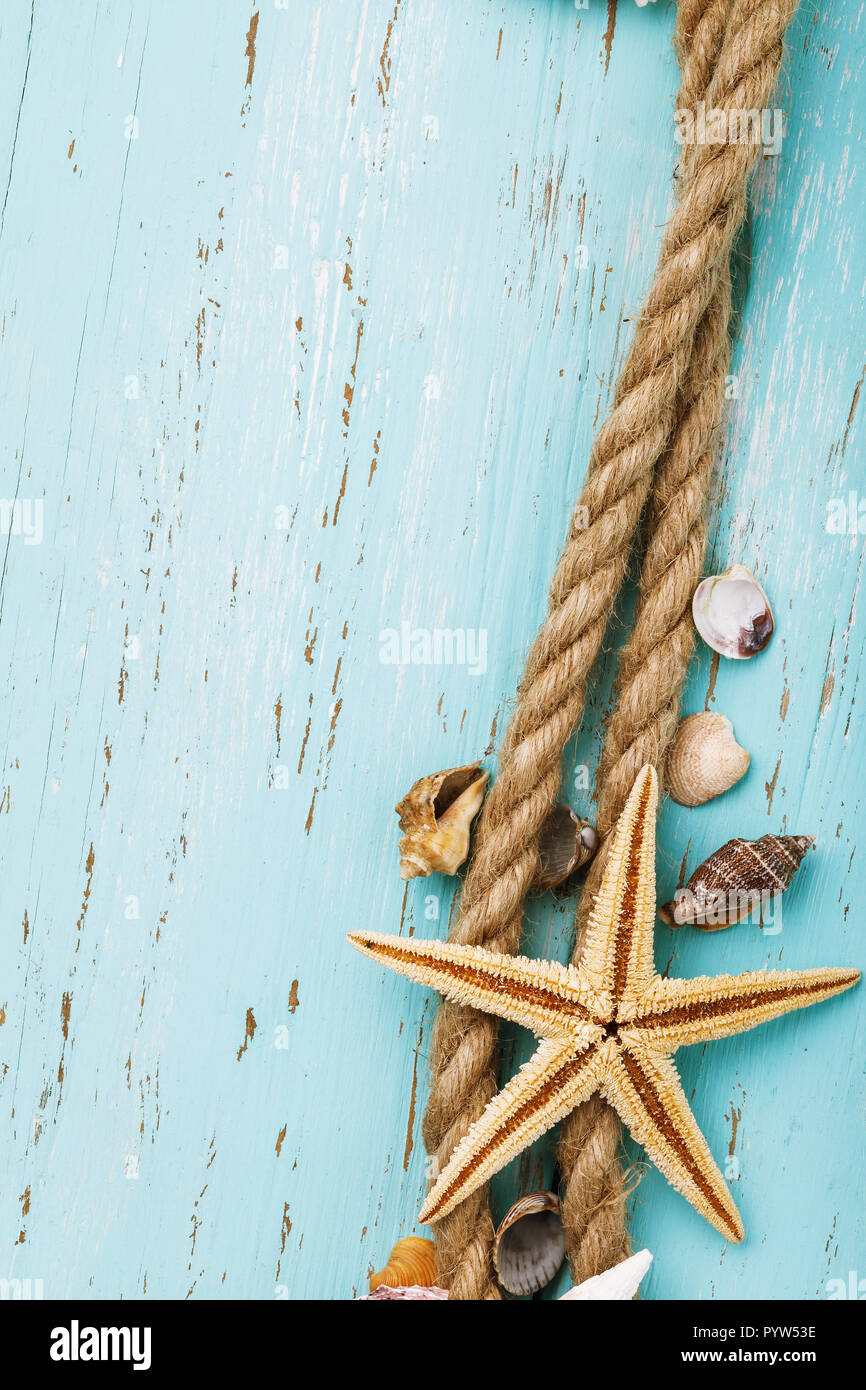 Rope and various seashells located on right side of wooden board with ...