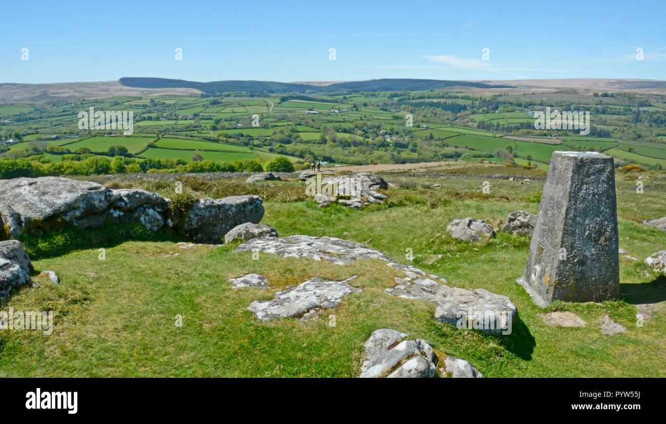On Meldon Hill near Chagford, Dartmoor, Devon Stock Photo - Alamy