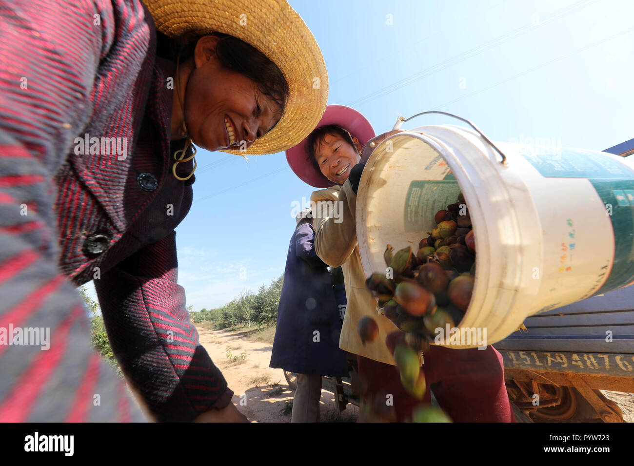 Load Fruits High Resolution Stock Photography and Images - Alamy