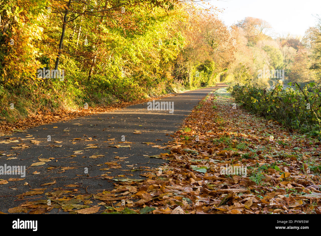 Belfast, N.Ireland, 30th October, 2018. UK Weather: Early risers enjoy ...