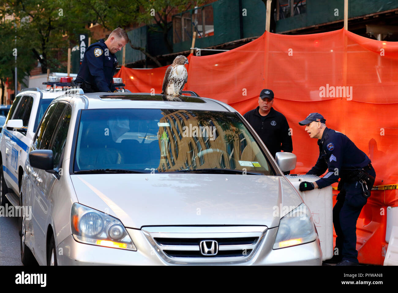 New york police bomb squad hi-res stock photography and images - Alamy