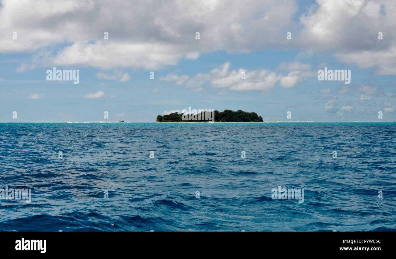 Ocean census hi-res stock photography and images - Alamy