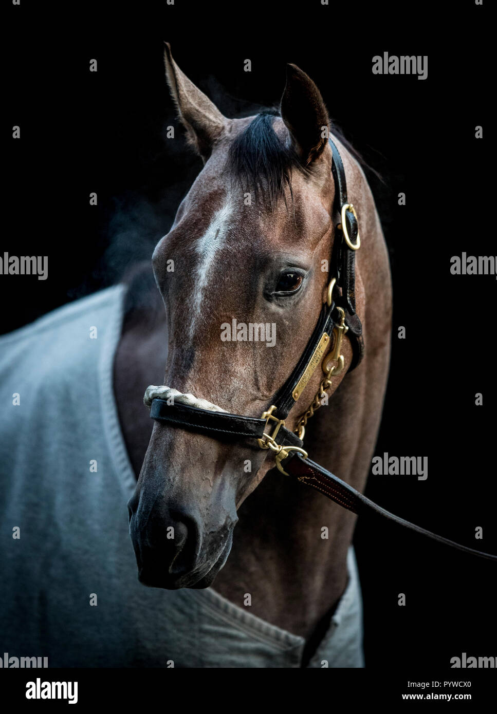 John servis hi-res stock photography and images - Alamy