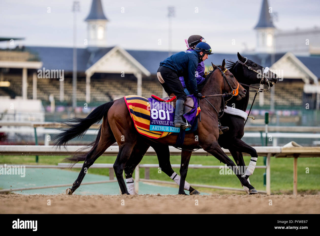 Trained by tom dascombe hi-res stock photography and images - Alamy