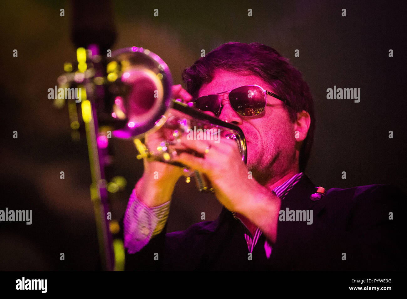 Joe lindsay fat freddys drop hi-res stock photography and images - Alamy