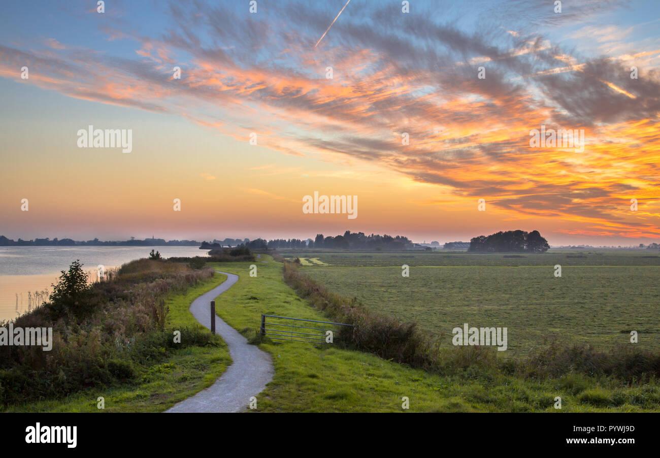 Dutch track cycling hi-res stock photography and images - Alamy