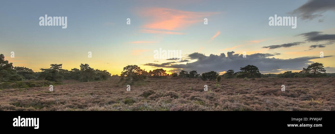 Heathland landscape hi-res stock photography and images - Alamy
