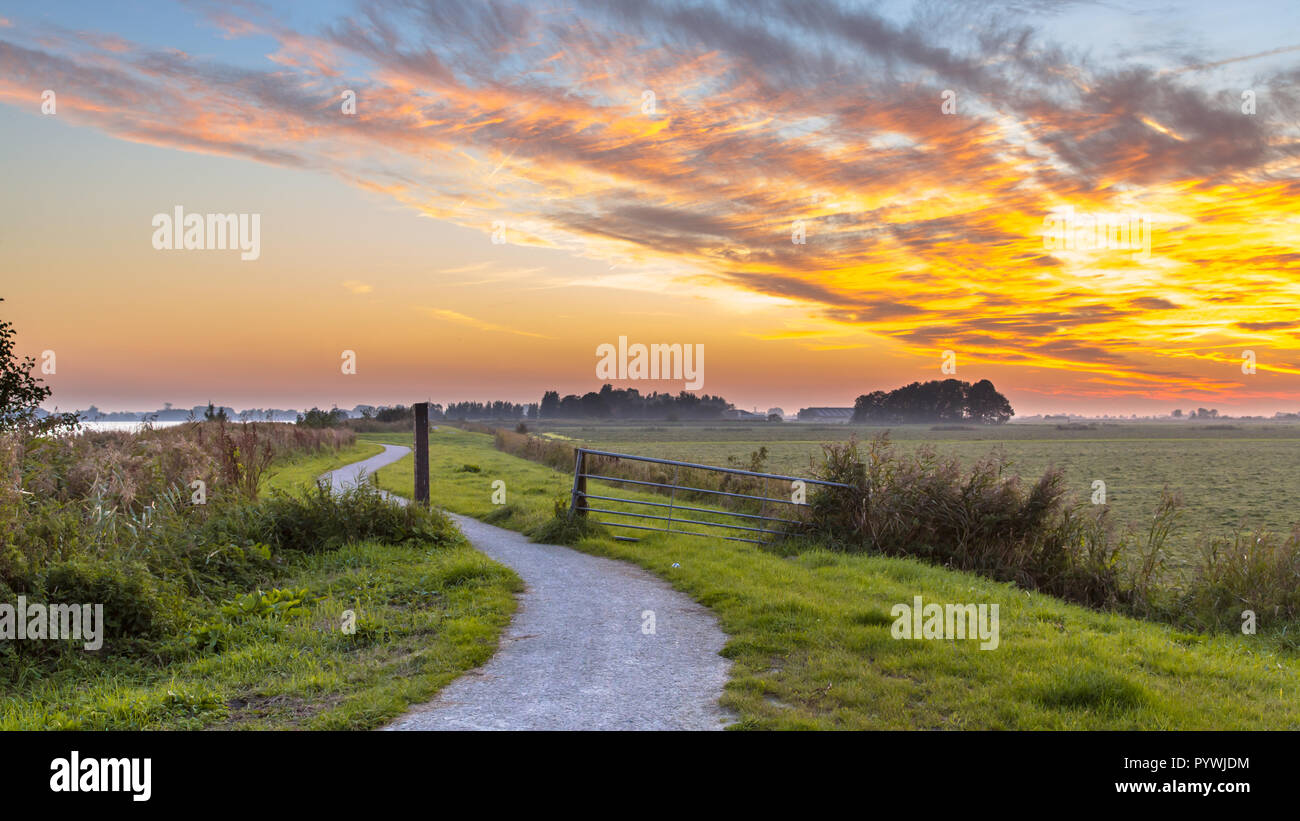 Dutch track cycling hi-res stock photography and images - Alamy