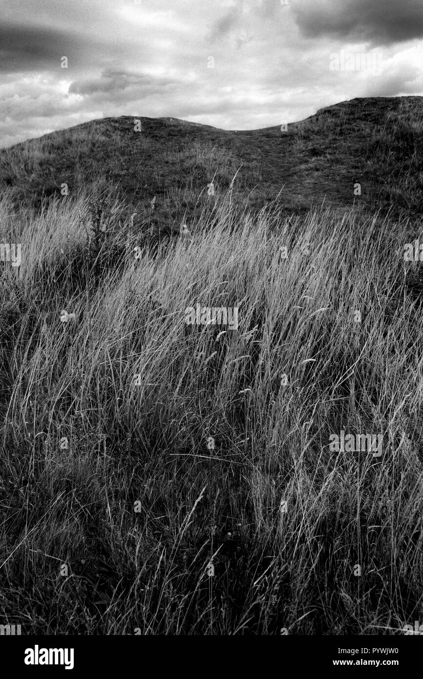 Mottistone Down, Barrow, Mottistone, Isle of Wight, England, UK, GB ...