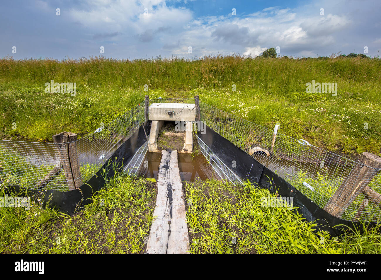 Square Wildlife crossing culvert underpass with gangplank for animals ...