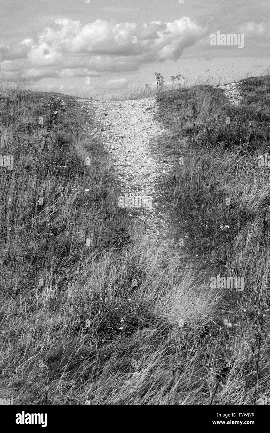 Black Down Mound High Resolution Stock Photography and Images - Alamy