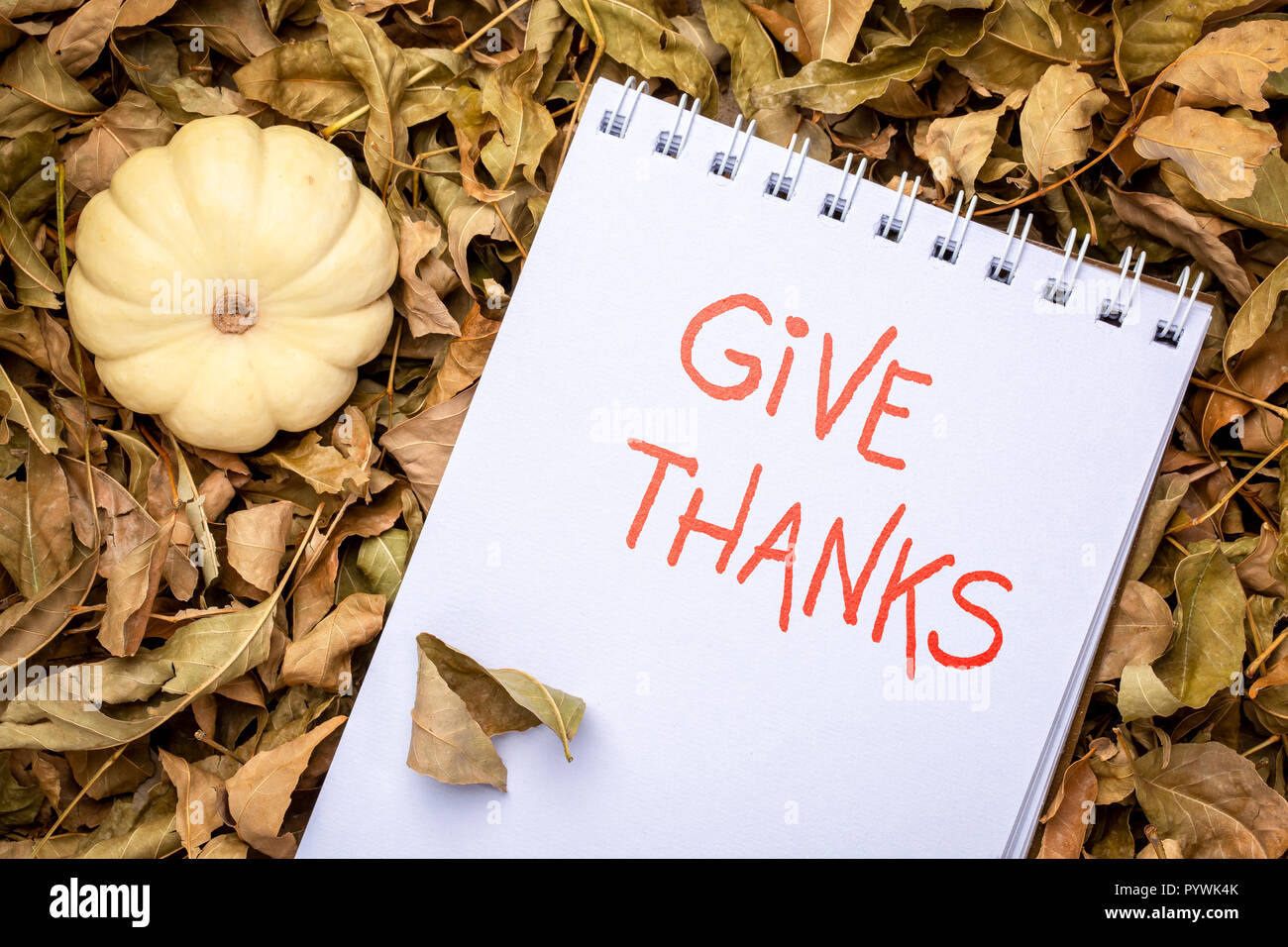 give thanks phrase - handwriting in an art sketchbook with a gourds ...