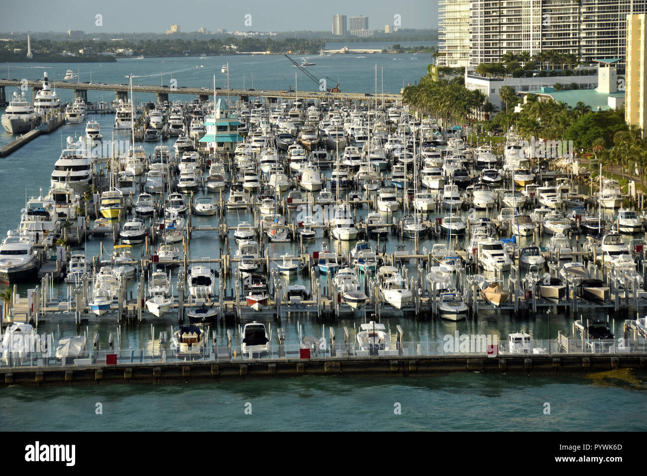 Busy boat marina in Miami Beach, Florida Stock Photo - Alamy