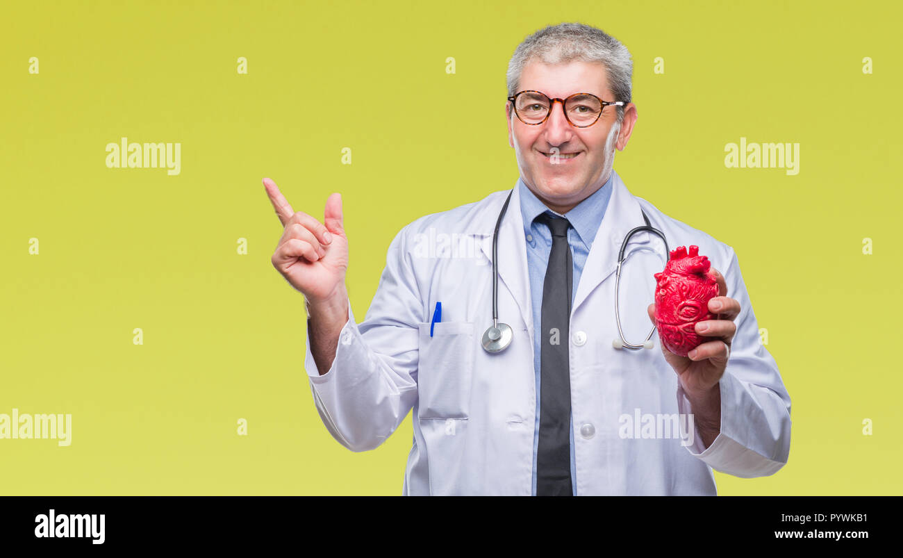 Handsome senior cardiologist doctor man holding heart over isolated ...