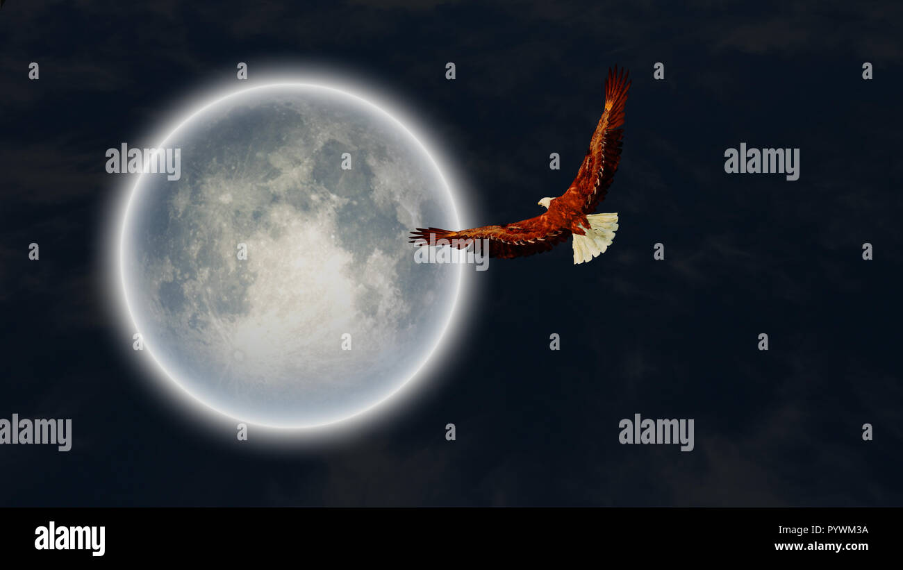 Eagle moonlight hi-res stock photography and images - Alamy