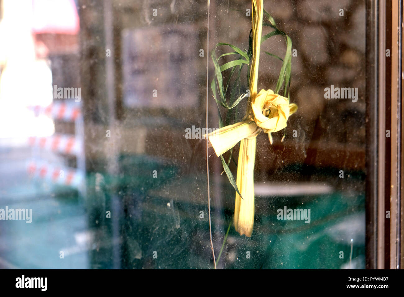 Palm frond hanging hi-res stock photography and images - Alamy