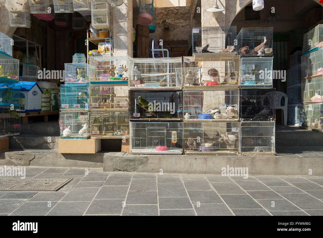 Birds and birdcages for sale at a pet store in the Souk in Doha, Qatar ...