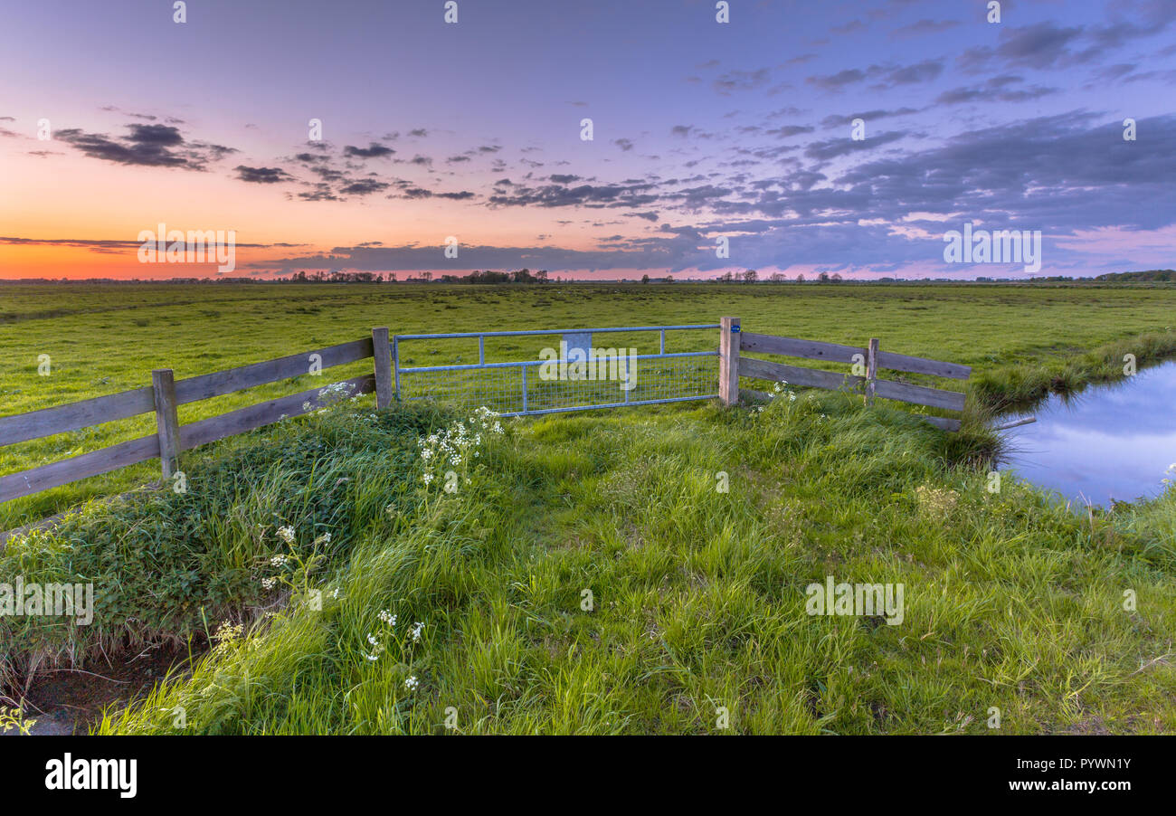 Purple sunset over fence in dutch polder landscape near Groningen Stock ...