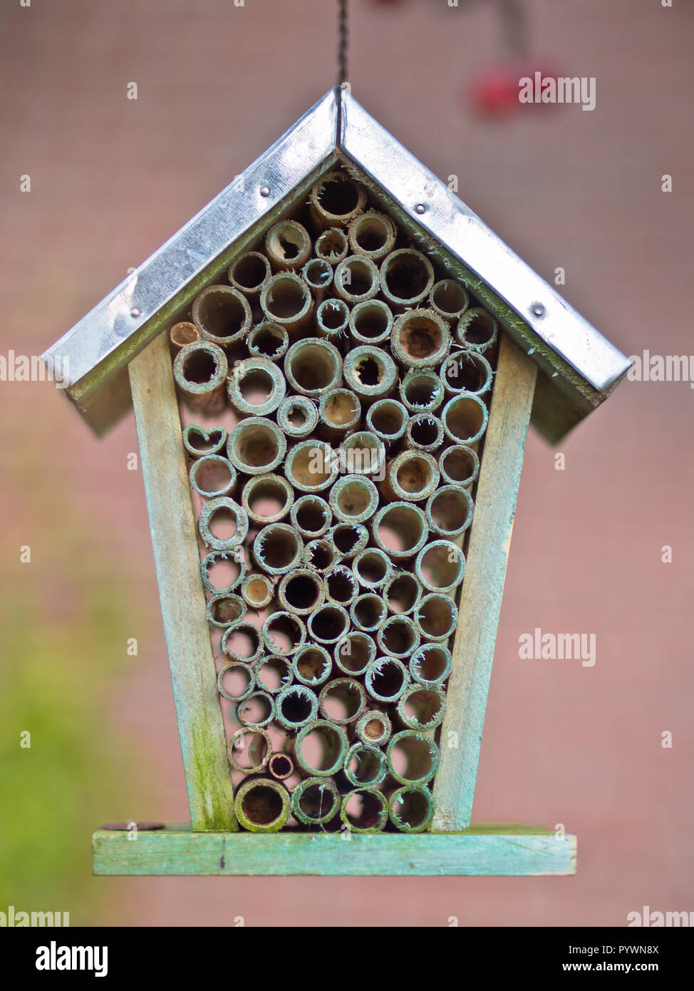 Insect log garden hi-res stock photography and images - Alamy