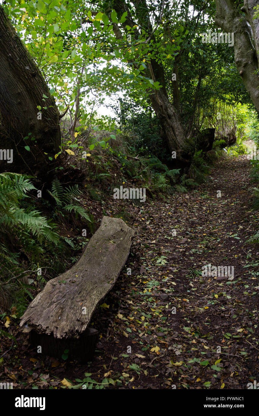 Ancient trees map hi-res stock photography and images - Alamy