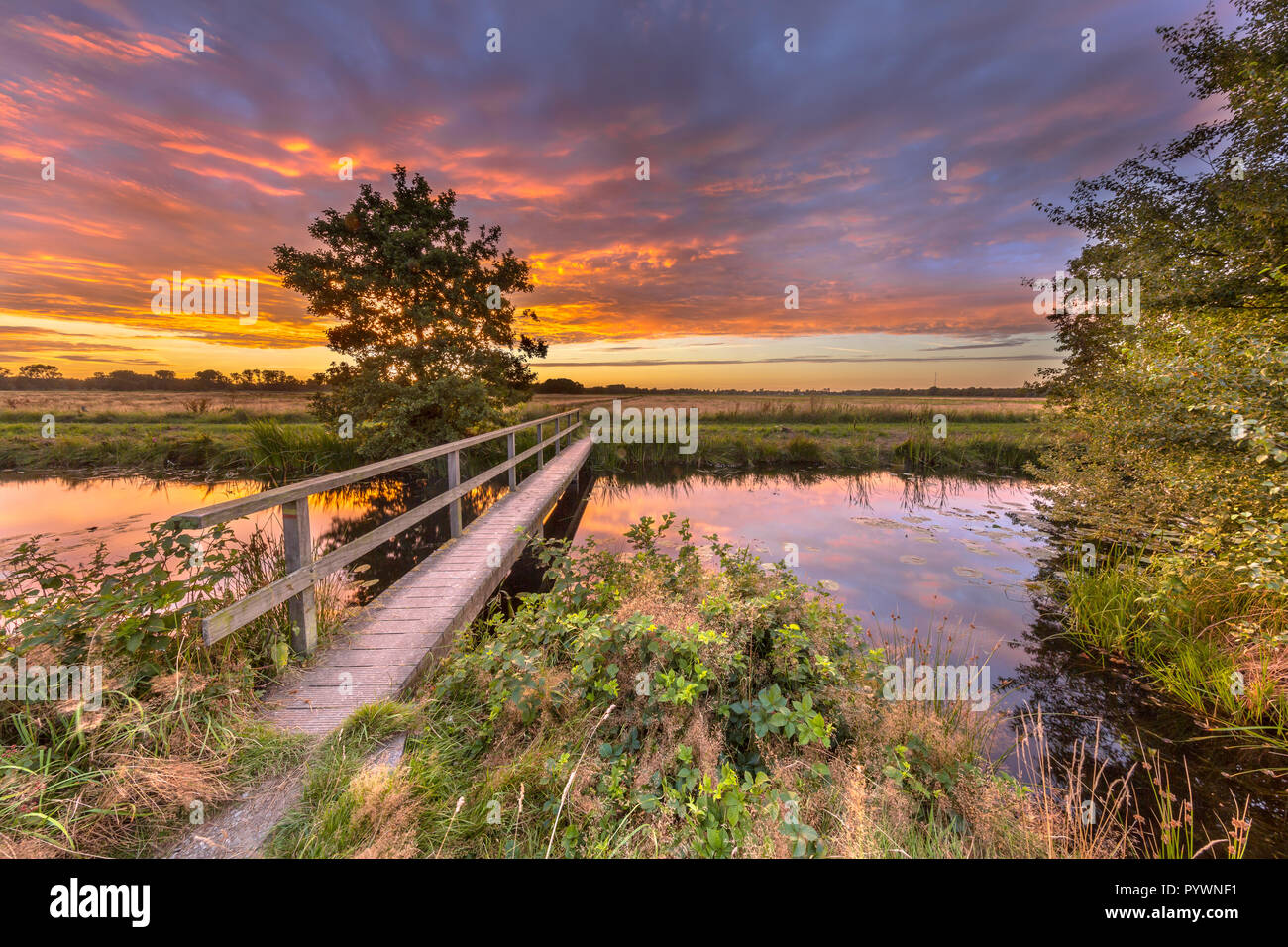 Landscape with Wooden walking bridge over river in dutch countryside ...