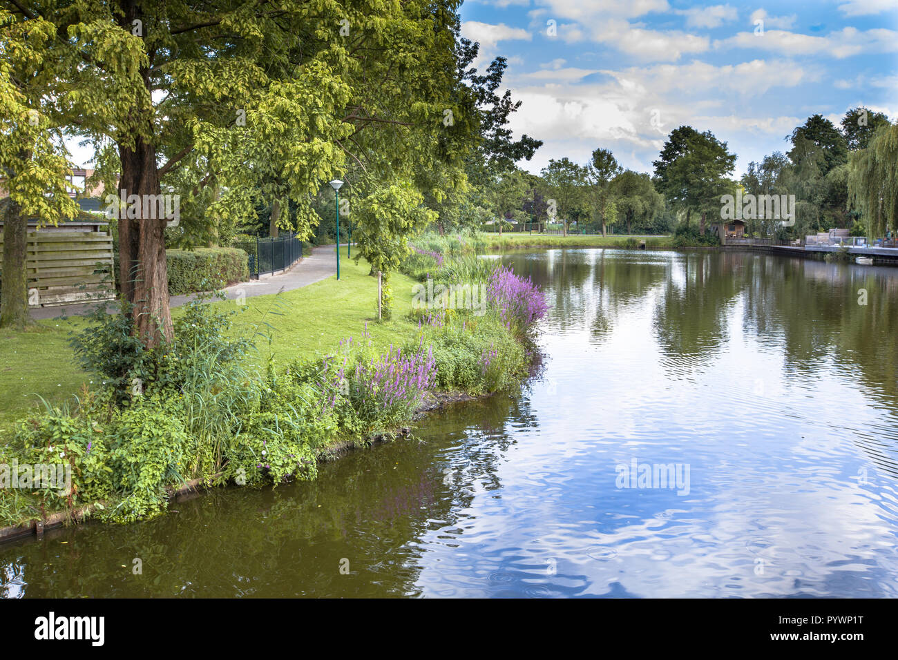 Eco friendly river bank with gentle slope to stimulate growth of ...